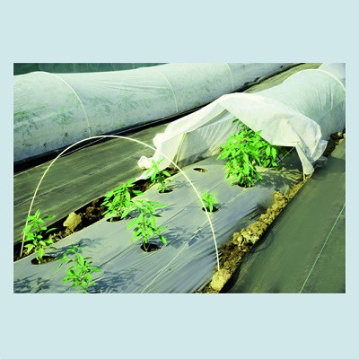 KrishiMART | Online Agro Marketplace